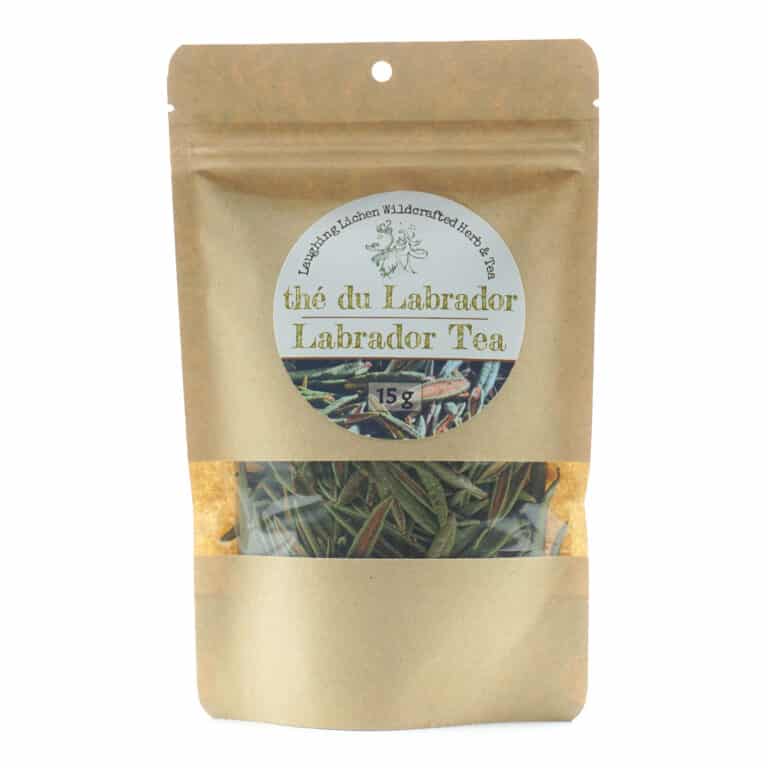 Labrador Tea Leaf (Ledum Groenlandicum) - Laughing Lichen